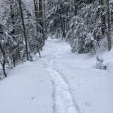 Nancy Pond, New Hampshire - 69 Reviews, Map | AllTrails