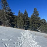Elk Meadow, Colorado - 1,311 Reviews, Map | AllTrails