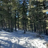 Elk Meadow, Colorado - 1,311 Reviews, Map | AllTrails