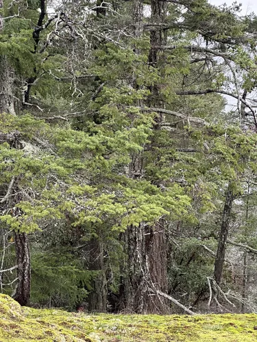 Best Hikes and Trails in Neck Point Park | AllTrails