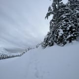 Heather Meadows and Artists Point Trail, Washington - 895 Reviews, Map ...