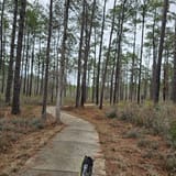 Pitcher Plant Trail, Texas - 221 Reviews, Map | AllTrails