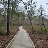 Pitcher Plant Trail, Texas - 221 Reviews, Map | AllTrails
