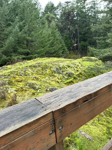 Best Hikes and Trails in Neck Point Park | AllTrails