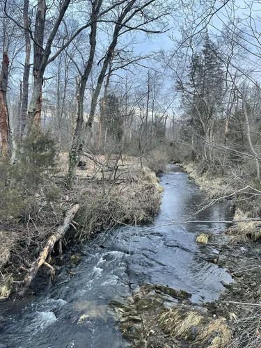 Best Hikes and Trails in Nottingham County Park | AllTrails