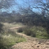 Coon Bluff Trail, Arizona - 769 Reviews, Map | AllTrails