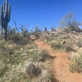Coon Bluff Trail, Arizona - 763 Reviews, Map | AllTrails
