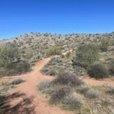 Coon Bluff Trail, Arizona - 772 Reviews, Map | AllTrails