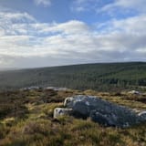 Simonside and Dove Crag Loop, Northumberland, England - 679 Reviews ...