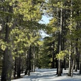 Elbow Valley Trail - Riverview Trail, Alberta, Canada - 690 Reviews ...