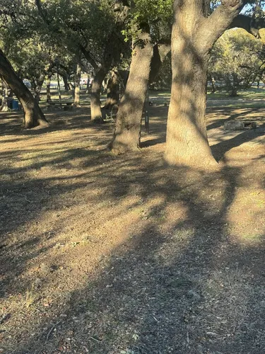 Best Hikes and Trails in Olmos Basin Park | AllTrails