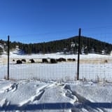 Genesee Mountain Trail Outer Loop, Colorado - 1,389 Reviews, Map ...