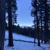 Genesee Mountain Trail Outer Loop, Colorado - 1,389 Reviews, Map ...