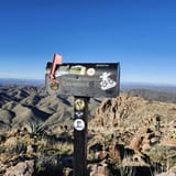 Picketpost Mountain Trail, Arizona - 2,127 Reviews, Map | AllTrails