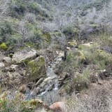 Homestead to Blue Ridge Loop, California - 2,745 Reviews, Map | AllTrails