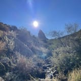 Weavers Needle Loop Trail, Arizona - 566 Reviews, Map | AllTrails