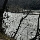 Fort Germanna Red and Blue Trail Loop, Virginia - 271 Reviews, Map ...