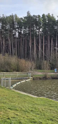 Best Hikes and Trails in Tilgate Park | AllTrails