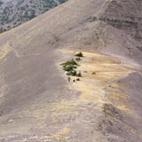 Akamina Pass, Wall Lake, and Forum Lake Trail Loop, Alberta, Canada ...