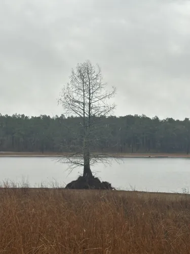 Best Hikes and Trails in Open Pond Recreation Area | AllTrails