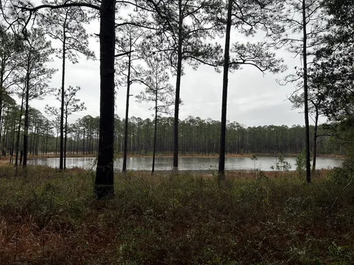 Best Hikes and Trails in Open Pond Recreation Area | AllTrails