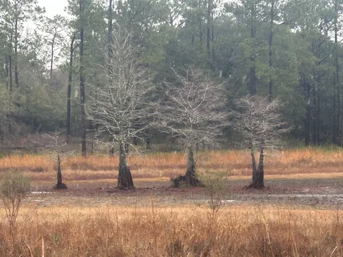 Best Hikes and Trails in Open Pond Recreation Area | AllTrails