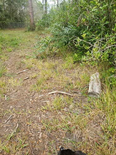 Best Hikes and Trails in Buckingham Community Park | AllTrails