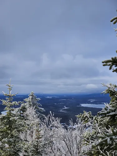 Best Hikes and Trails in Copple Crown Conservation Area | AllTrails