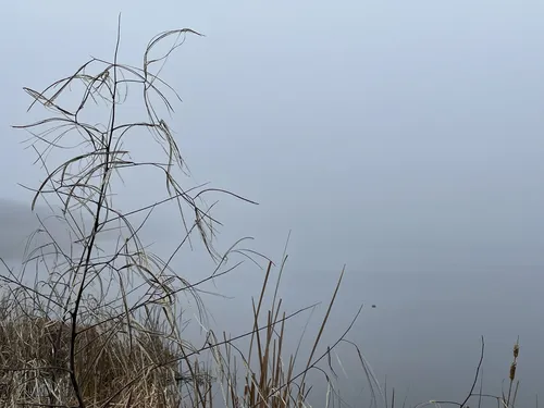 Best Hikes and Trails in Cape Romain National Wildlife Refuge | AllTrails