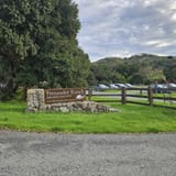 Black Phoebe Trail, California - 40 Reviews, Map | AllTrails