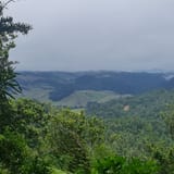 Cossey Massey Loop Track, Auckland, New Zealand - 681 Reviews, Map ...