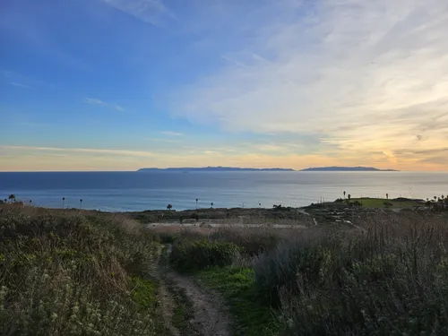 Best Hikes and Trails in White Point Nature Preserve | AllTrails