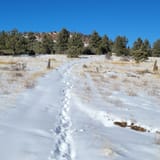 Tanner Trail, Colorado - 109 Reviews, Map | AllTrails