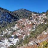 Tanner Trail, Colorado - 109 Reviews, Map | AllTrails