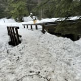 Franklin Falls Trail, Washington - 5,013 Reviews, Map | AllTrails