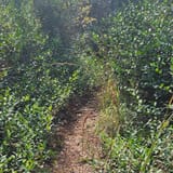 Nocatee Preserve Trail, Florida - 371 Reviews, Map | AllTrails