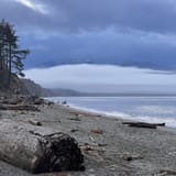 Dungeness Spit Trail, Washington - 1,542 Reviews, Map | AllTrails