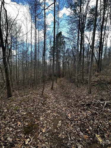 Best Hikes and Trails in Apison | AllTrails