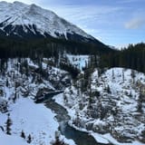 Cline River Trail, Alberta, Canada - 427 Reviews, Map | AllTrails