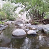 Waipara Gorge Walk, Canterbury, New Zealand - 23 Reviews, Map | AllTrails