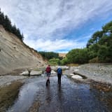Waipara Gorge Walk, Canterbury, New Zealand - 23 Reviews, Map | AllTrails