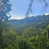 Makiki Valley Loop Trail, Oahu, Hawaii - 5,485 Reviews, Map | AllTrails