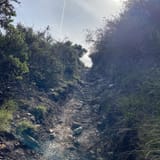 Prefumo Canyon Vista Point Trail, California - 265 Reviews, Map | AllTrails