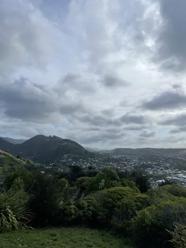 Best Hikes and Trails in Nelson Botanical Reserve | AllTrails