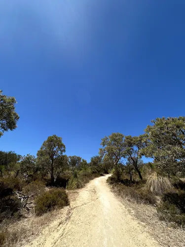 Best Hikes and Trails in Neerabup National Park | AllTrails