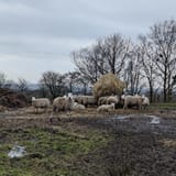 Anglezarke Reservoir, Lancashire, England - 554 Reviews, Map | AllTrails