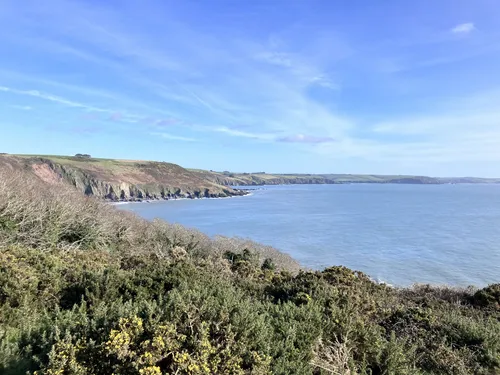 10 Best River Trails in South Devon National Landscape (AONB) | AllTrails