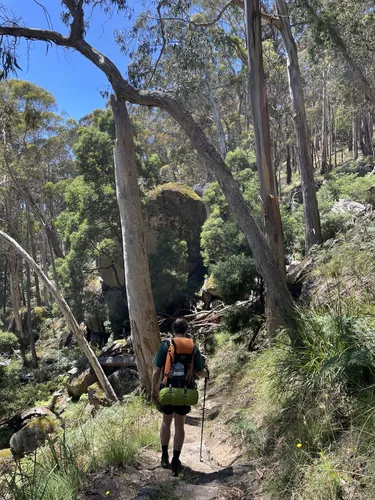 Best Hikes and Trails in Mount Cole State Forest | AllTrails