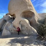 Skull Rock, California - 2,871 Reviews, Map | AllTrails