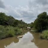 Muningi Gorge, Gauteng, South Africa - 118 Reviews, Map | AllTrails